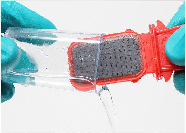 Dental Dipslides / Dental HPC Sampler (Premium Total Count) Test